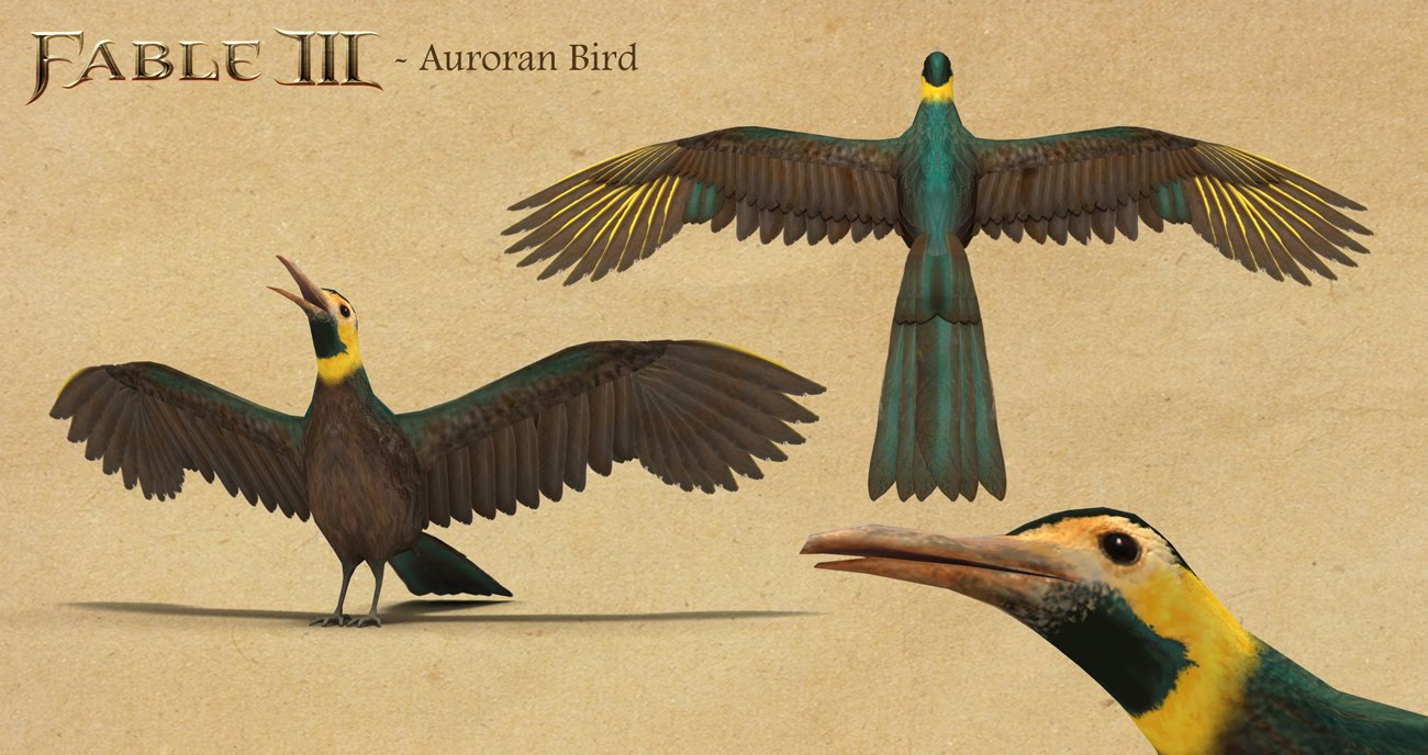 James Duncan: Fable 3 Auroran Bird