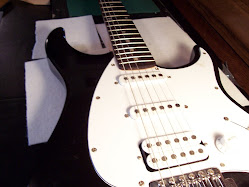 Twelve Guitars: THE PLEK MACHINE IN NORMAN, OKLAHOMA