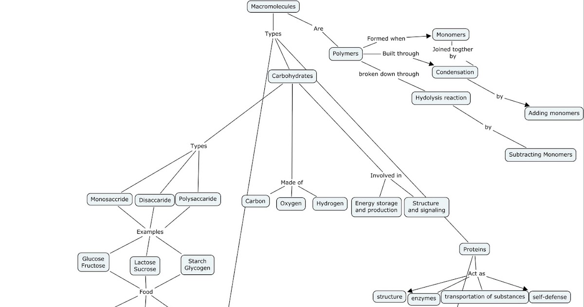 Dereks Bio Blog: Macromolecules concept map