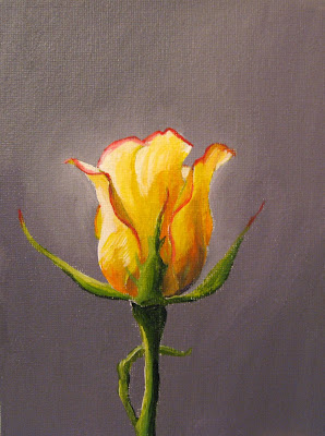 One Painting a Day: Golden Rose