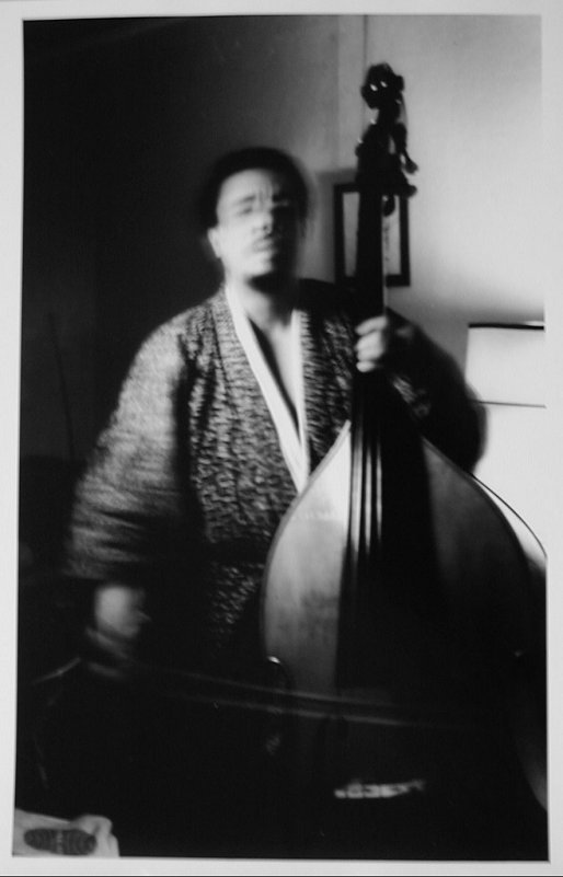 baixos e contrabaixos: Charles Mingus by Lida Moser