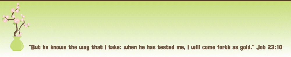 Woven by Words: Silent Shadows By Natalie Walters