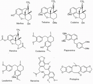 Psicofarmacología para Alumnos de Psicología: Lista de Alcaloides ...