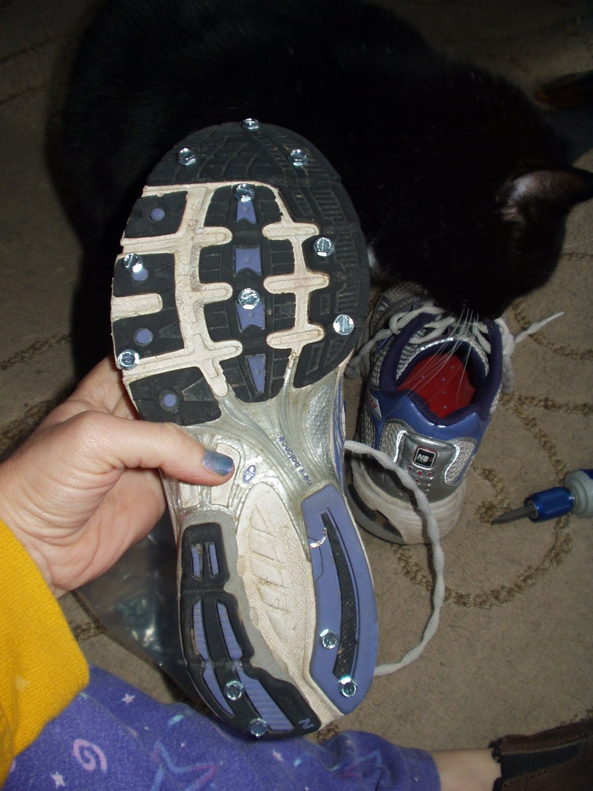 snow studs | See Jain Run