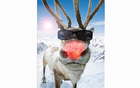 WHY IS RUDOLPH'S NOSE RED????