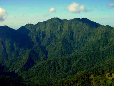 A Leap Into The Dark: September 2009