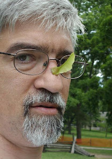 FARK.com: (4443769) The coolest story explaining how maple seeds ride a ...