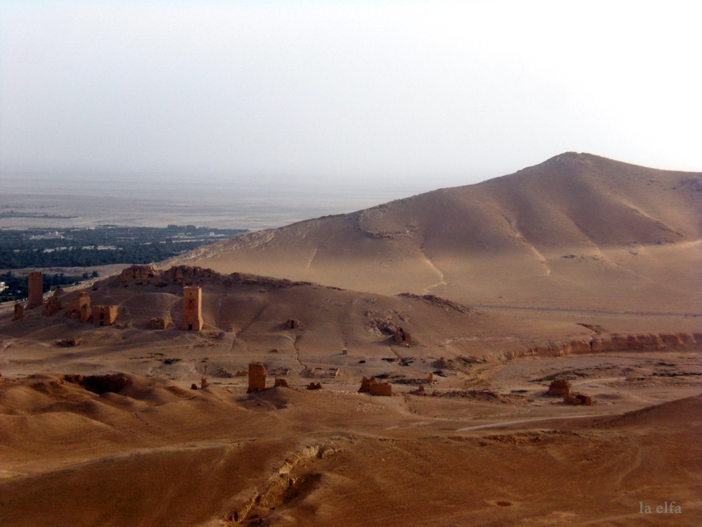 la elfa: Palmira – la reina del desierto