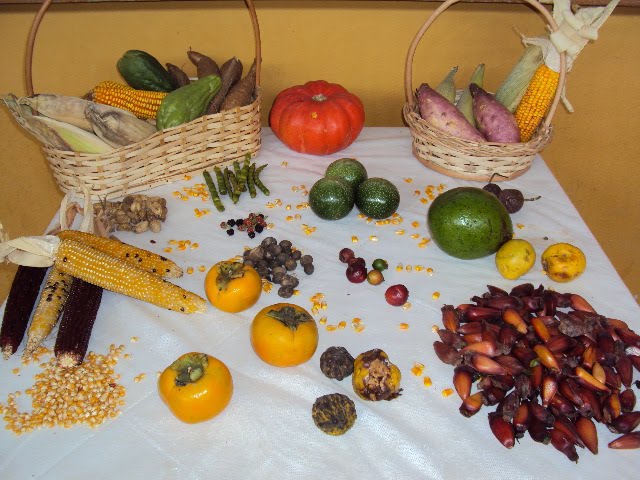 EEB P. Tancredo Neves: POVOS INDÍGENAS