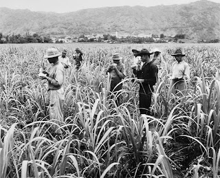 Historia de Puerto Rico: Economia de Puerto Rico1880-1950
