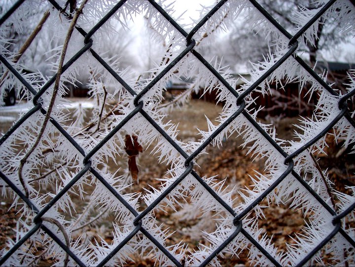 Beckstrand Bulletin: We woke up to this--Pogonip