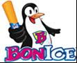 Bon ICE: HISTORIA