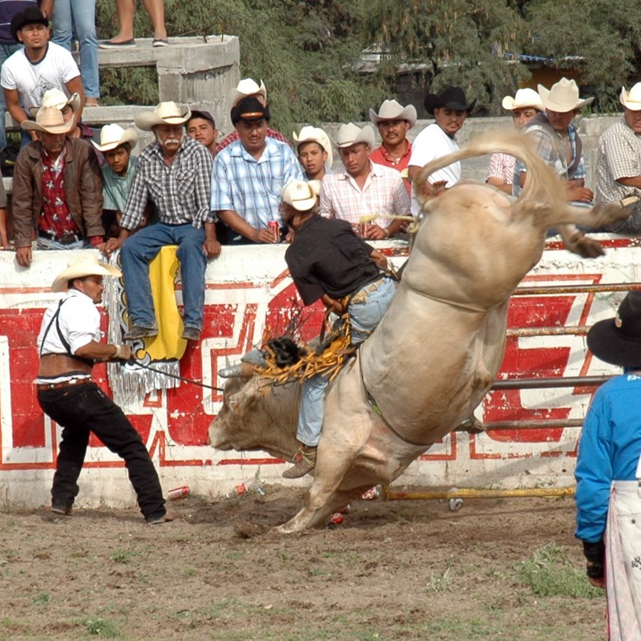 jaripeoslp: JARIPEO RANCHERO ESTILO SAN LUIS
