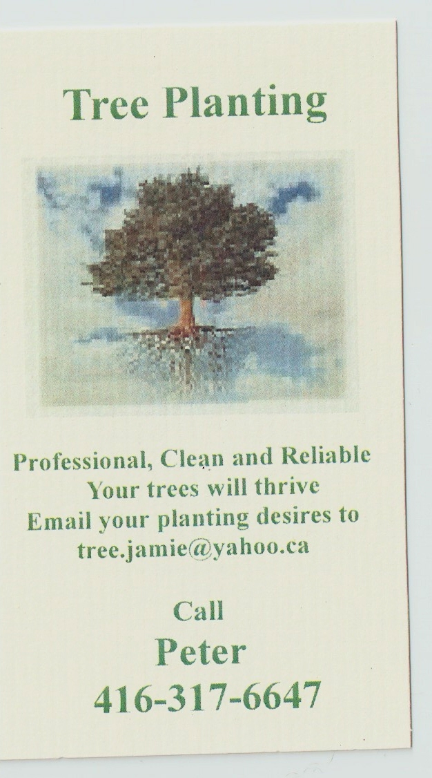 TREE PLANTING: Tree Planting Brochure