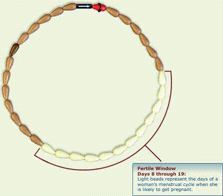 Natural Birth Control Mathod: Cycle Beads Method