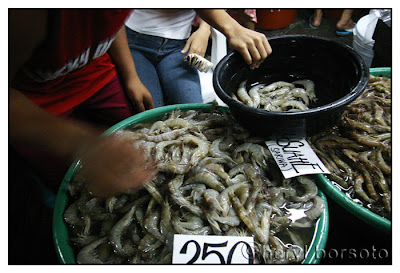 Light Fusion: Photo Essay: Bulungan Fish Port