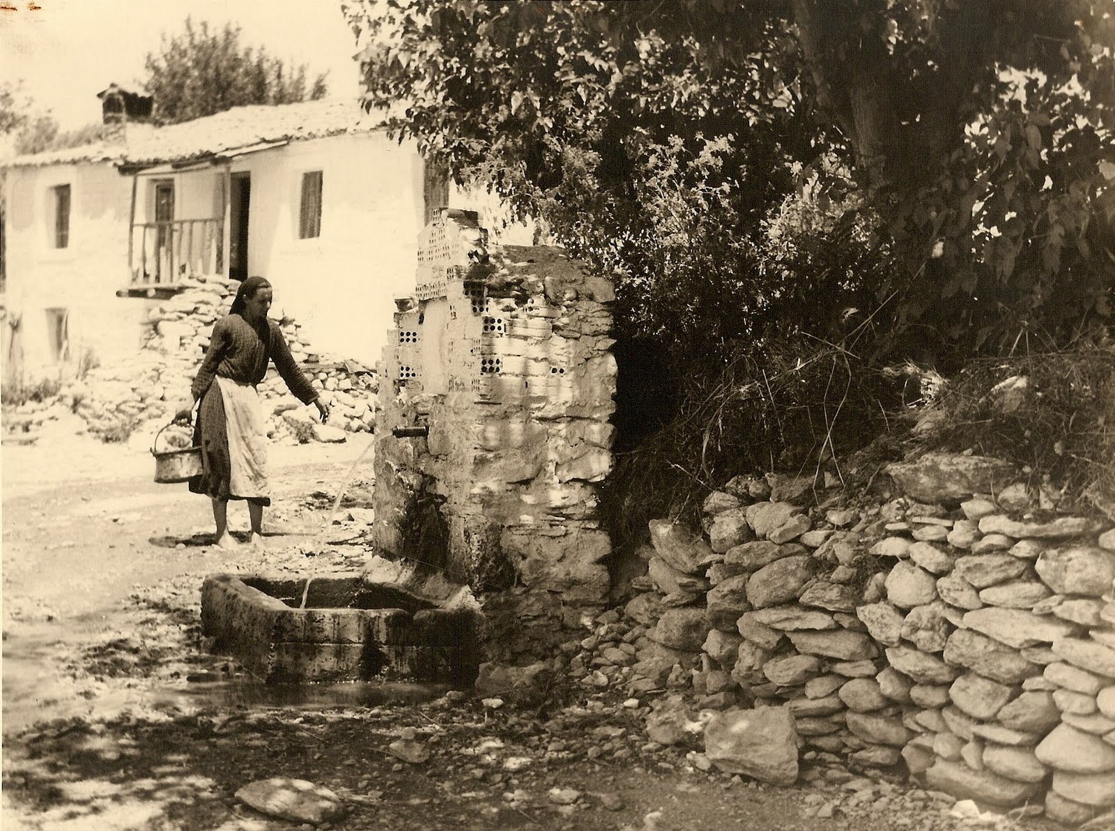 ΠΥΘΙΟ - ΟΛΥΜΠΟΣ PYTHIO- OLYMPOS