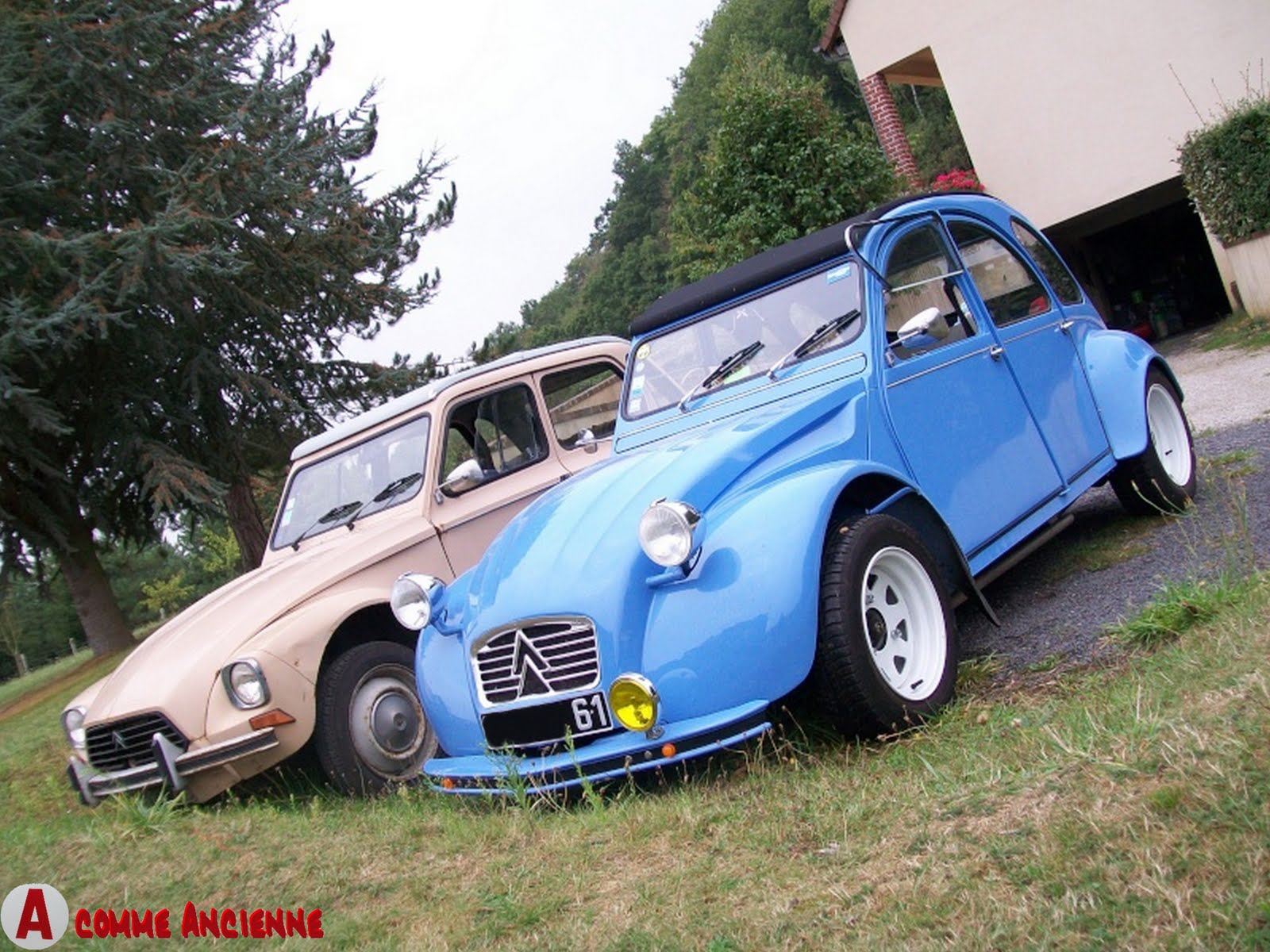 A comme Ancienne: Les 2cv6 de Morgan (Shymturbo61) (61)