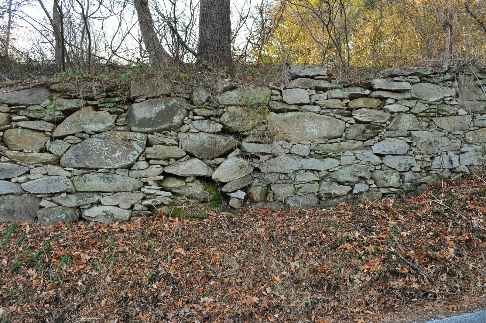 ROCKIN WALLS: Pinning & Chinks