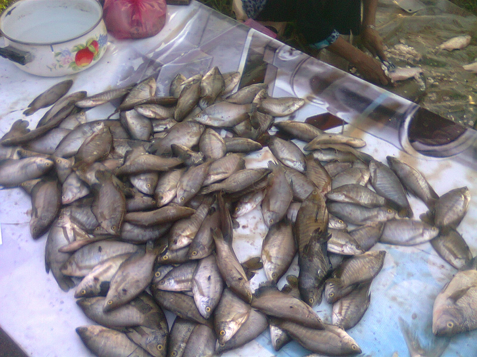 My Life My Words: Pasar Kemboja di Kanchong Darat Banting