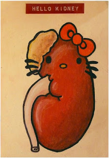 Daily Lessons from Medical School: Hello Kidney