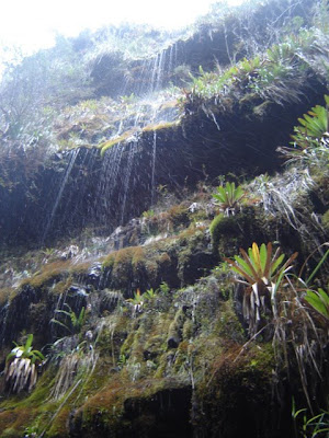 Teatro experimental: Chingaza: parque, represa y agua para los bogotanos