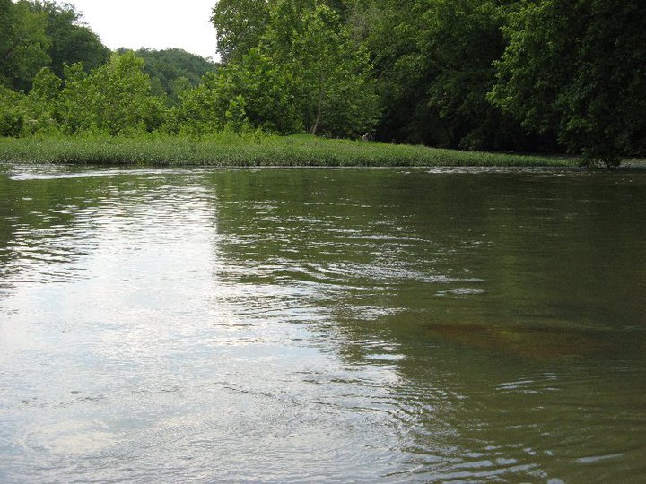 Stream Habitat Management: Stream Experience - Powell River, VA