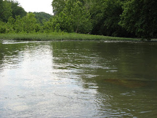 Stream Habitat Management: Stream Experience - Powell River, VA