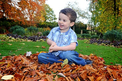 I'd rather be at a Springsteen gig: January 2011