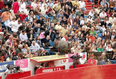 VitoPtah: "PAJARITO" : El Toro que Voló