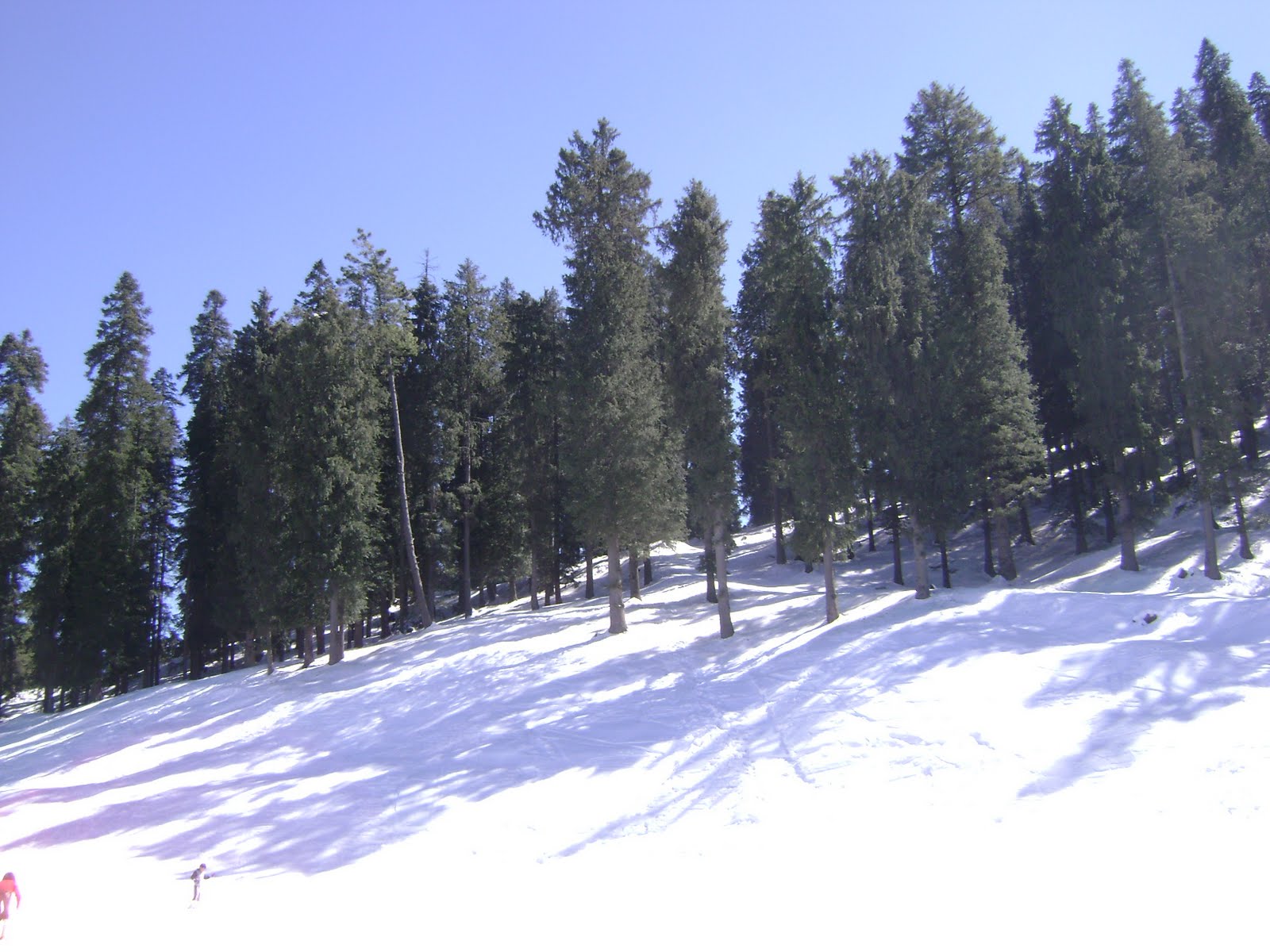 A Beauty of Kumarsain ~ KUMARSAIN TODAY