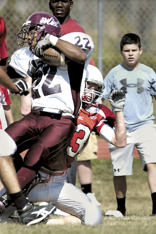 The Record Blogs: Off the Record: Cardiac Cats strike again; Tamarac ...