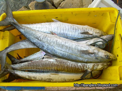 ILP ANGLERS: TUAS YAN PART 3