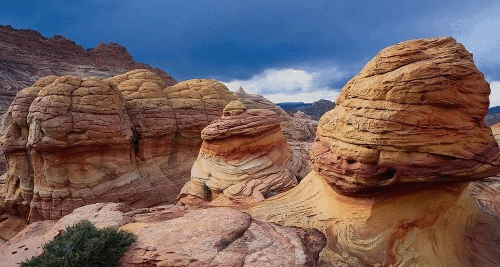 Agentes Externos ¨&¨Intemperismo: Intemperismo