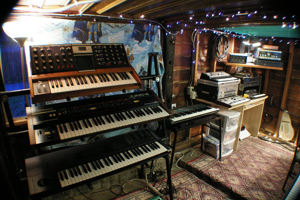 soft tronix turtle logo