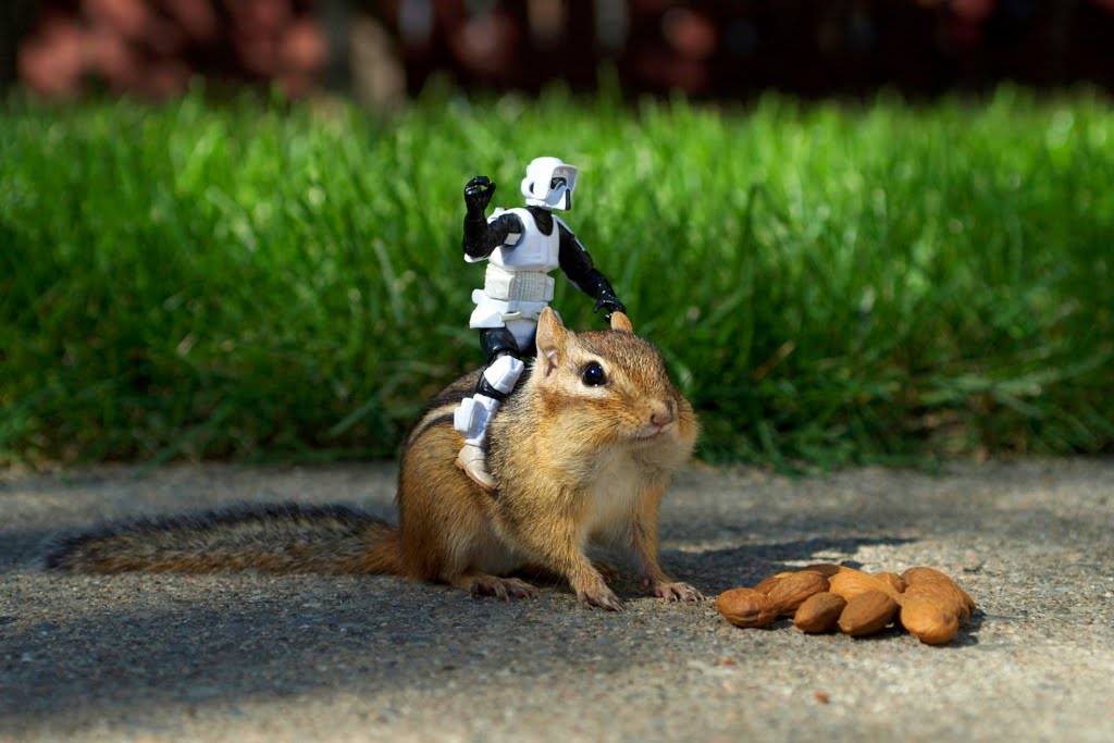 Stuff for Sam: Robot and Chipmunk with Nuts