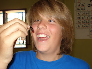 TEACHING IN MALAWI: How To Eat Giant Fried Flying Ants