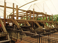 Chuck and Verna Mogged