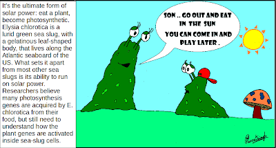 Puneet's Peeves: My Scientoons