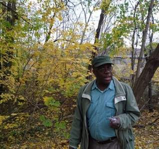 MOUNT VERNON EXPOSED: NEIGHBORS OF KINGSBRIDGE SAY 'NICE' MOUND WORTH ...