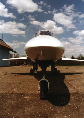 nhungdoicanh: Marganski-Myslowski EM-10 Bielik