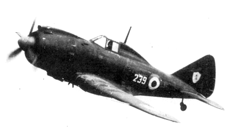 nhungdoicanh: Reggiane Re.2002 Ariete II