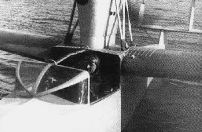 nhungdoicanh: Nikol A-2