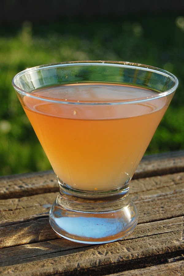 Benito's Wine Reviews: Pinky Vodka Redux