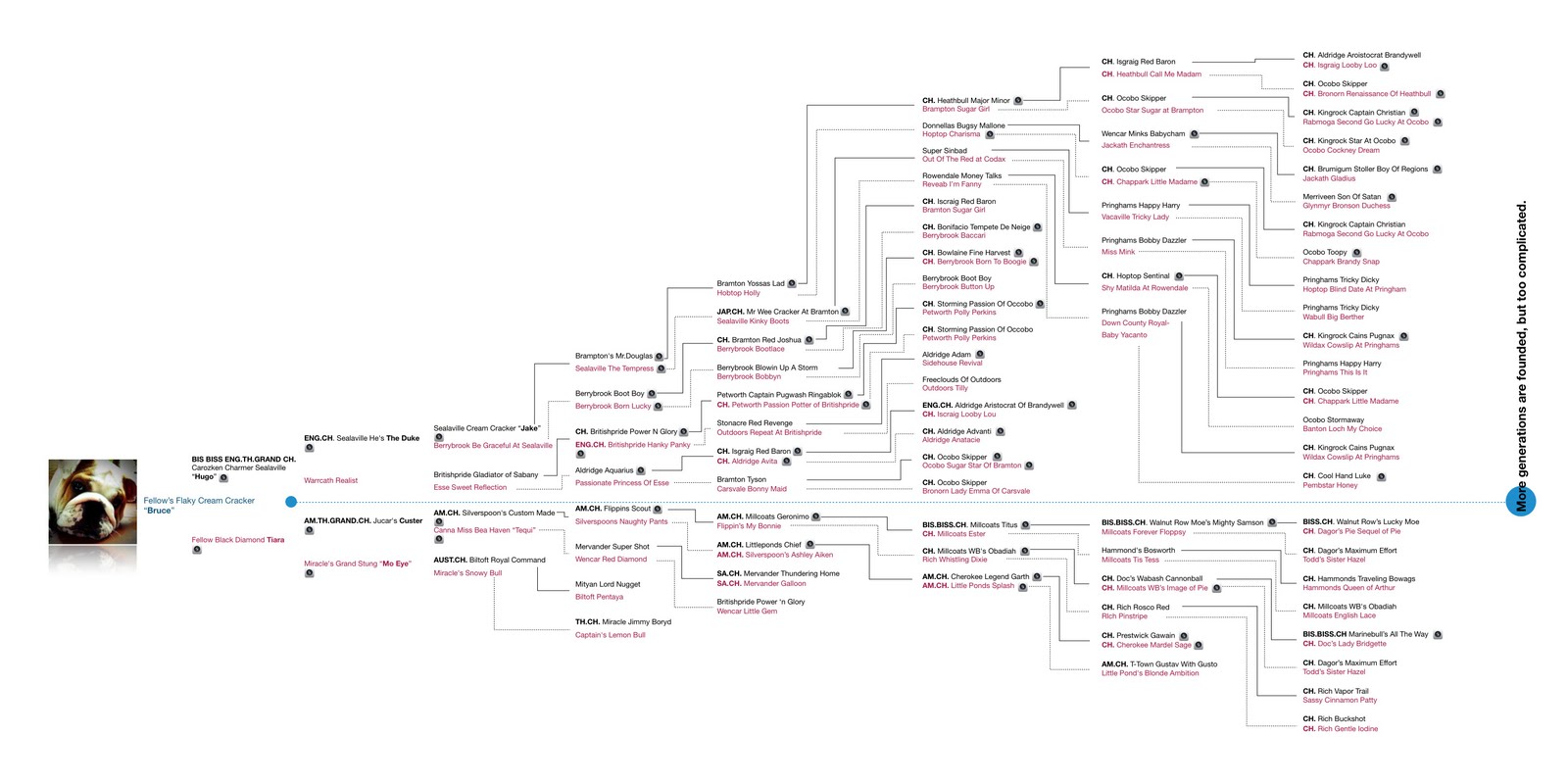 Bruce The Bulldog: Bruce's Family Tree