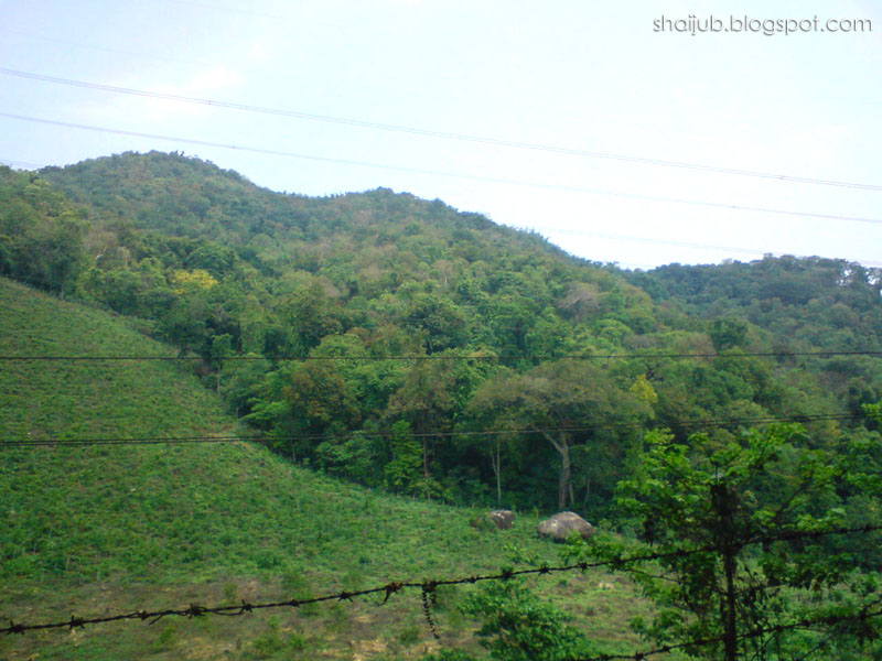 Thenmala Ecotourism - Adventure Zone | Shai blogs!