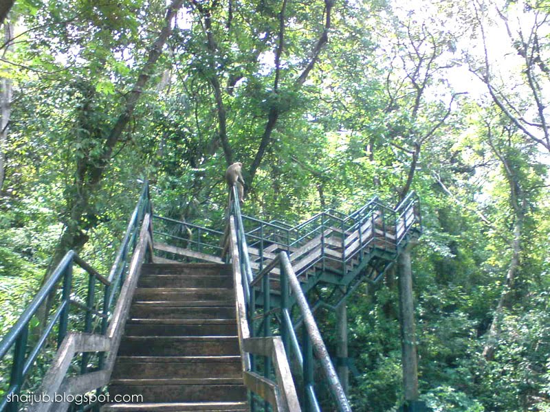 Thenmala Ecotourism - Adventure Zone | Shai blogs!