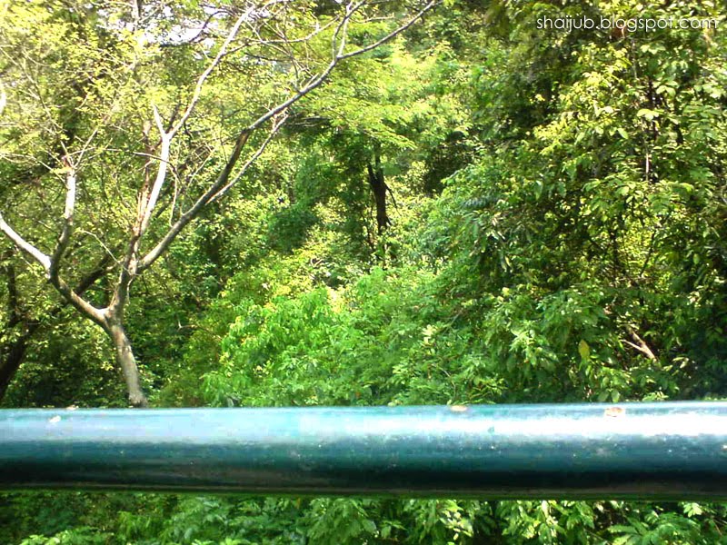 Thenmala Ecotourism - Adventure Zone | Shai blogs!