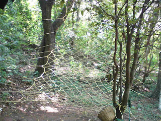 Thenmala Ecotourism - Adventure Zone | Shai blogs!