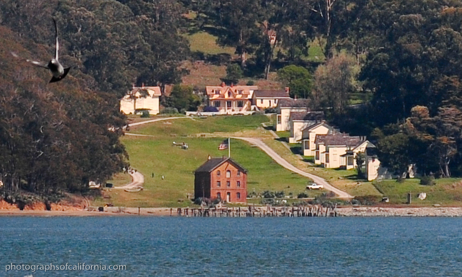 The Adventures of Ka'sala: San Francisco, Week Three: Sausalito and ...